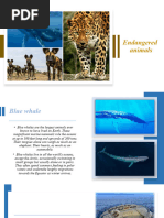 10 Most Endangered Animals | PDF