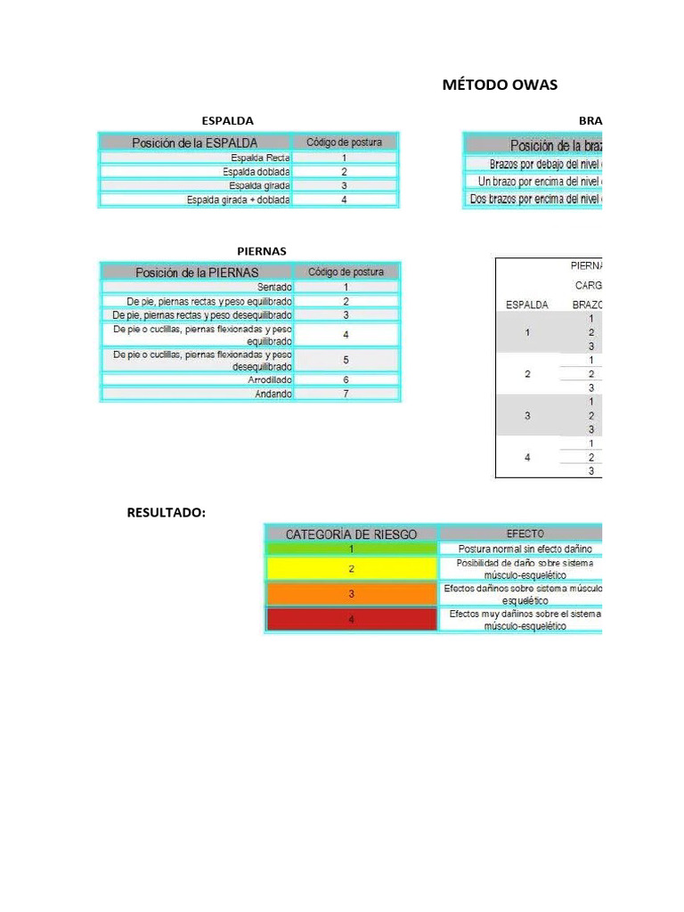 Plantilla Metodo Owas | PDF