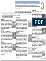 Museum Circulation Patterns Explained | PDF | Museum