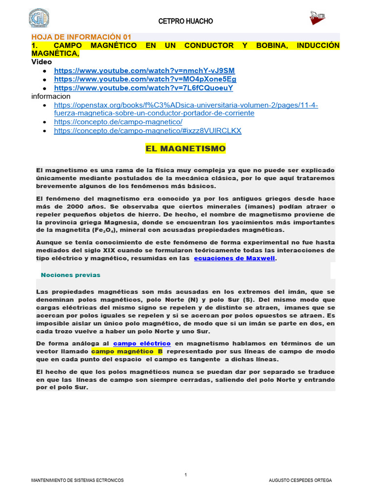 Introducción al Magnetismo y Campos Magnéticos | PDF | Campo magnético | Imán