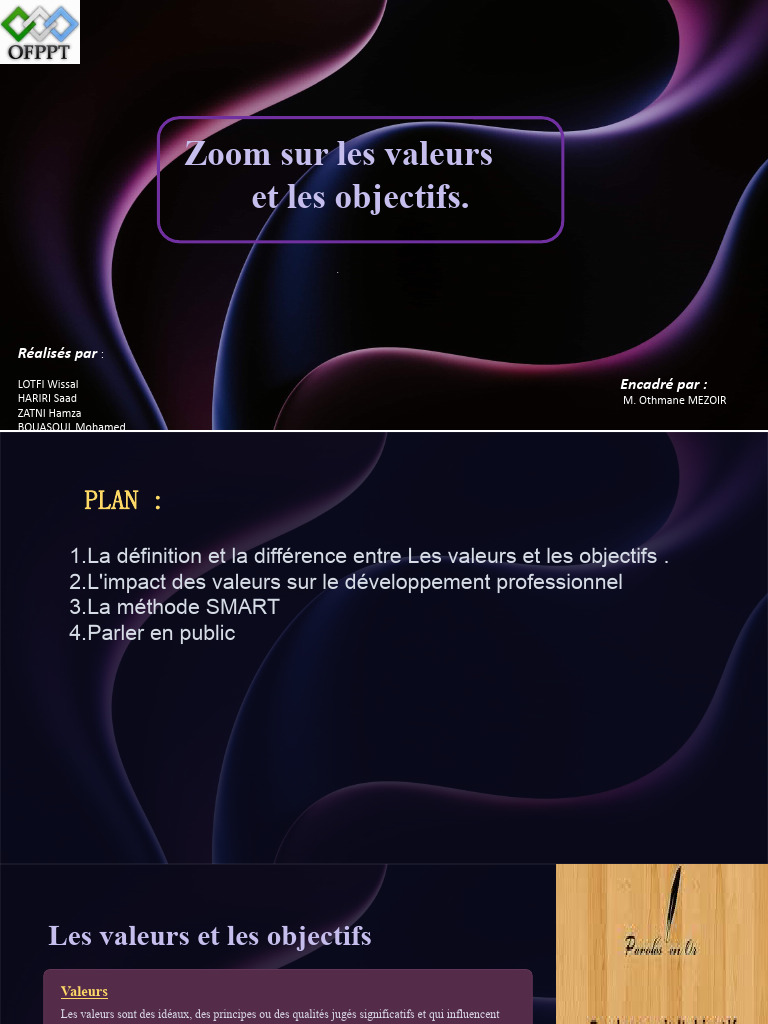 Zoom-sur-les-valeurs-et-les-objectifs-dans-la-vie-des-stagiaires (1) (1) | PDF