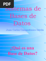 Diferencias entre BD y SGBD | PDF | Bases de datos | Usuario (informática)