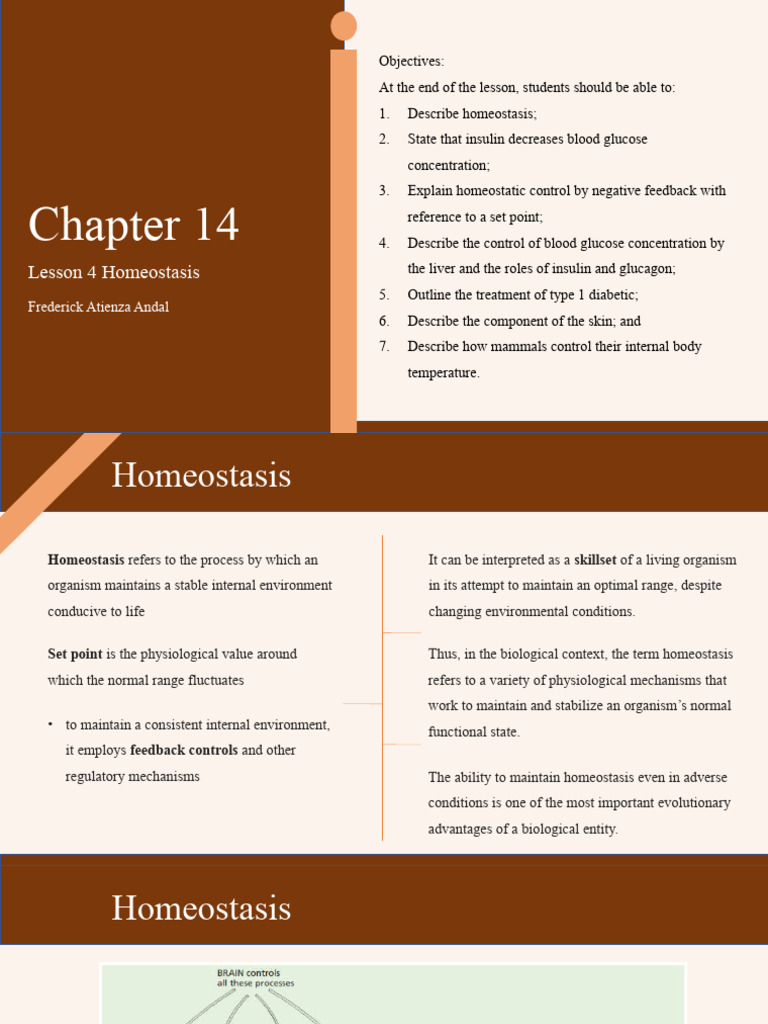 Chapter 14 Lesson 4 Homeostasis | PDF | Homeostasis | Skin