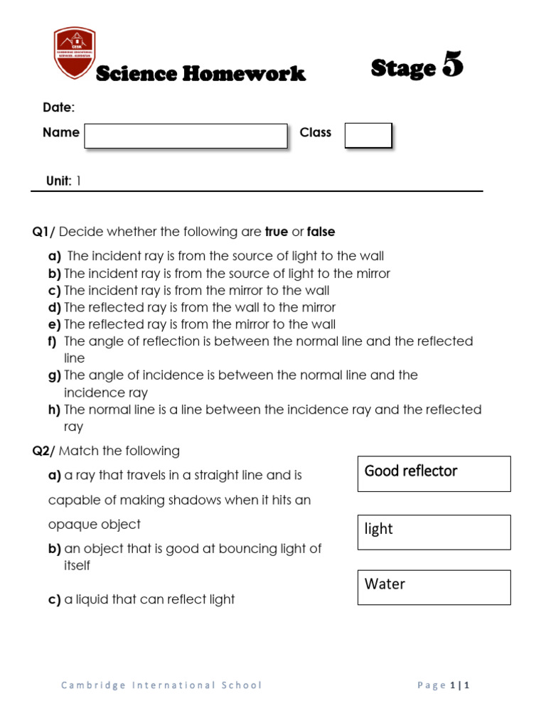 Stage 5 Science W4 | PDF