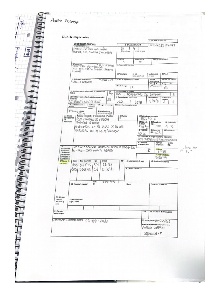 DUA de Importación | PDF