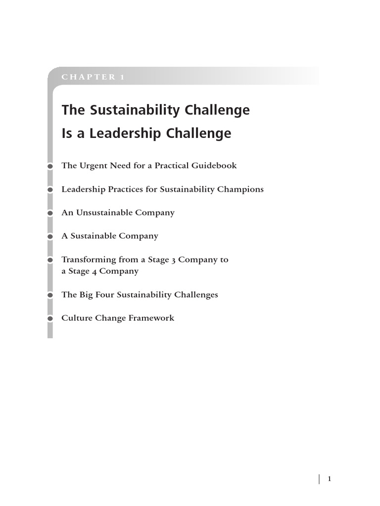 Sustainability Challenge Leadership Challenge | PDF | Sustainability ...