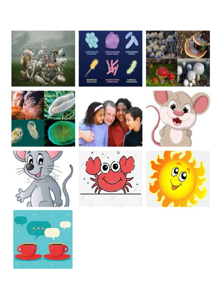 Ciencias Naturales Pdf