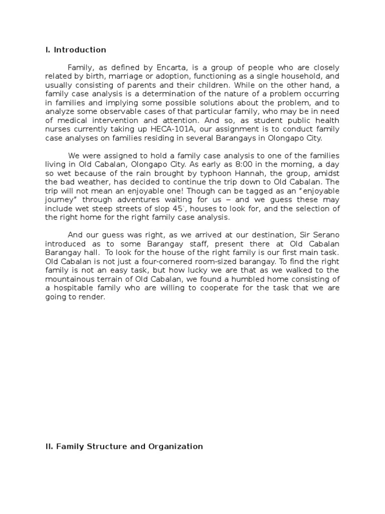 Family Case Analysis | PDF | Family | Cough