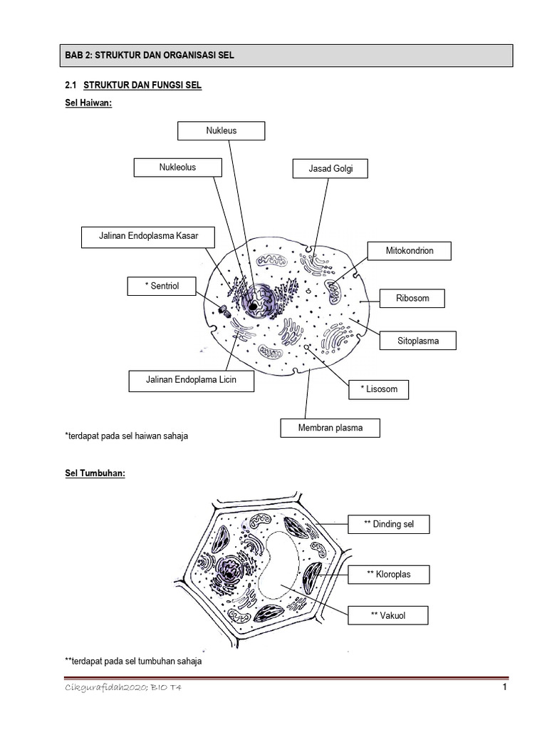 F4 Biology Bab 2 | PDF
