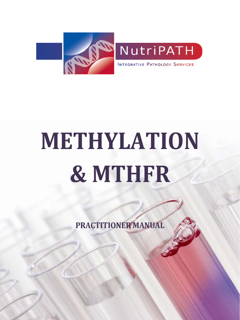 NPATH METHYLATION MTHFR Practitioner Manual v3.1 | PDF | Vitamin B12 ...