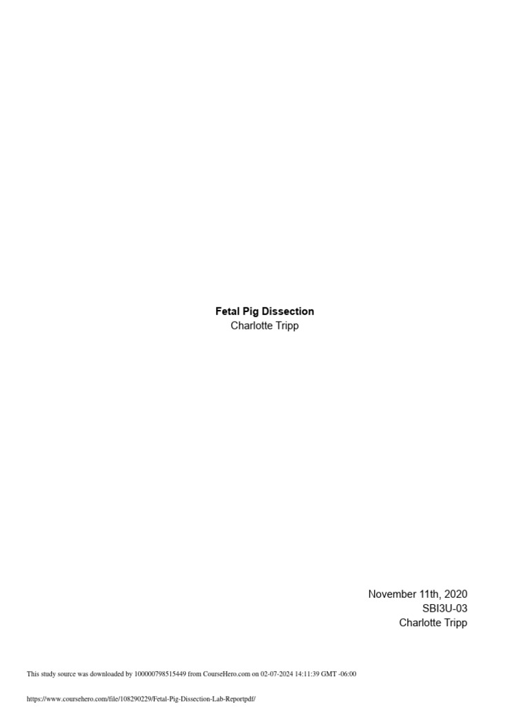 Fetal Pig Anatomy Dissection Insights | PDF | Anatomy | Autopsy