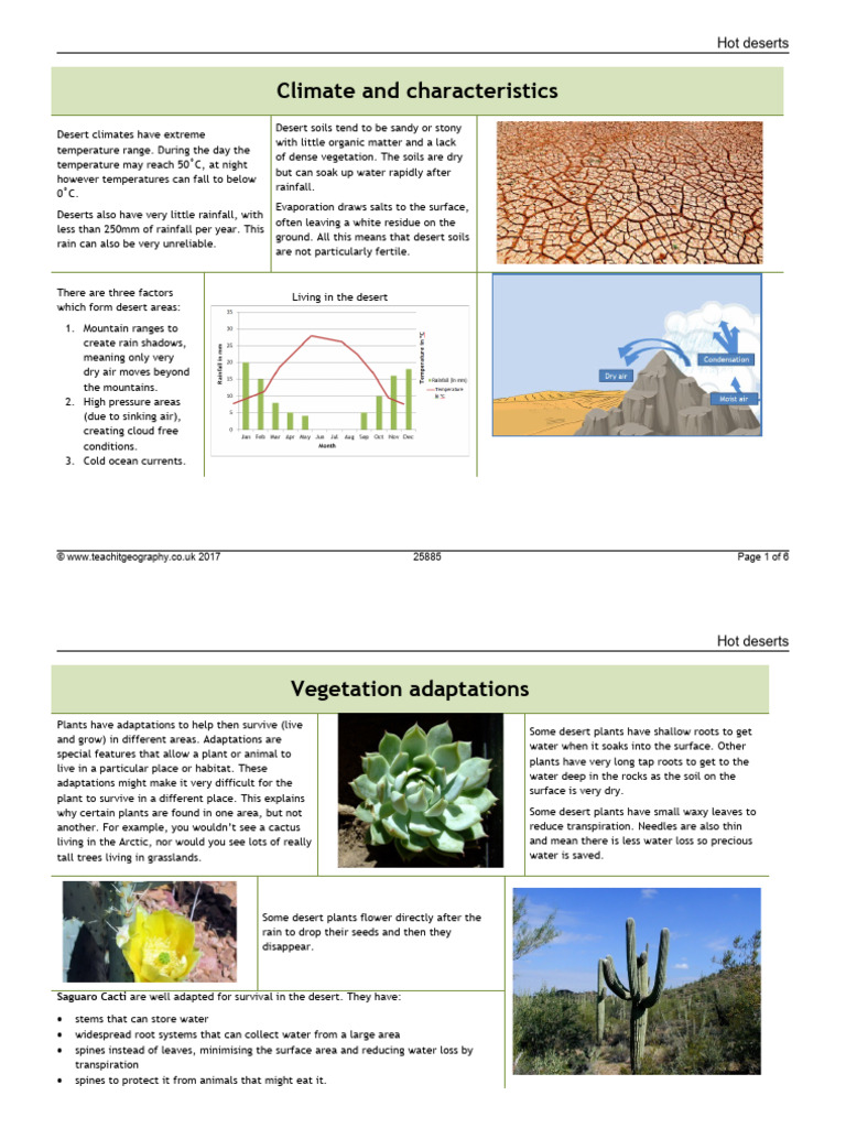 hot-deserts information sheet | PDF | Desert | Sahara