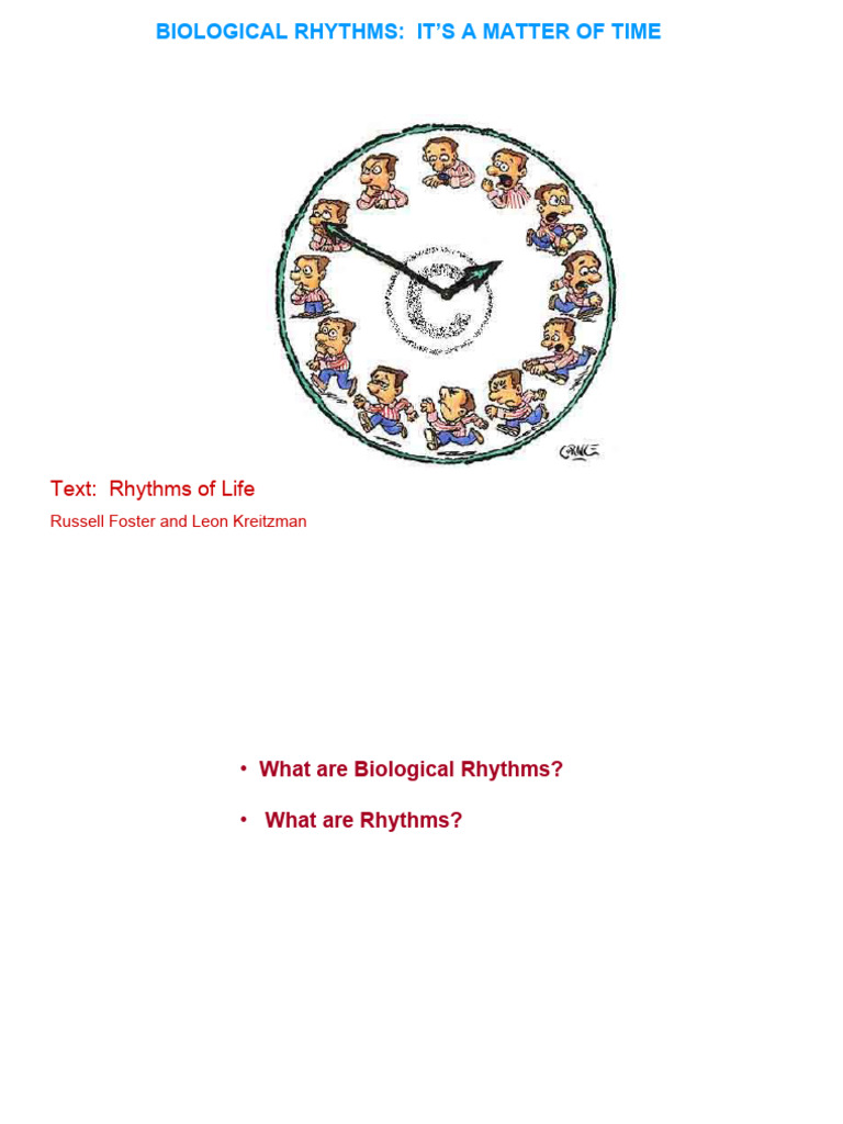 Biological Rhythms Lecture S1 | PDF | Circadian Rhythm | Physiology
