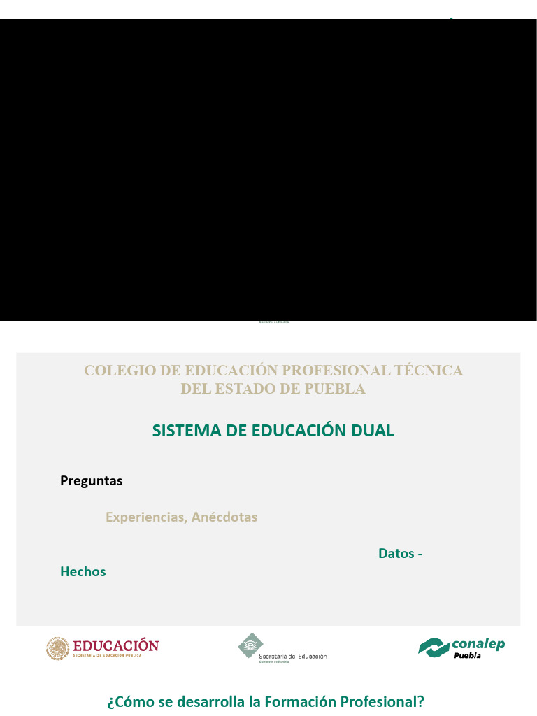 Sistema de Educación Dual | PDF | Plan de estudios