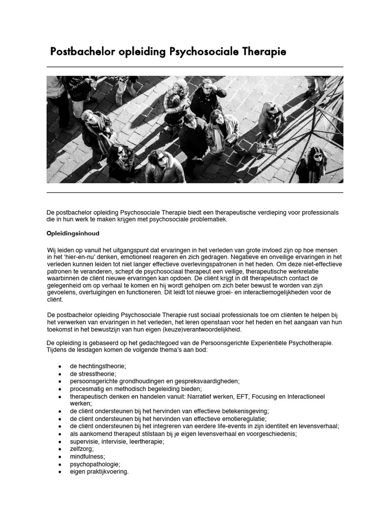 Factsheet Psychosociale Therapie | PDF