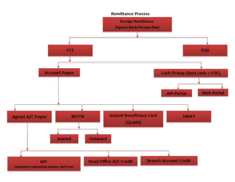 Remittance Process Red | PDF