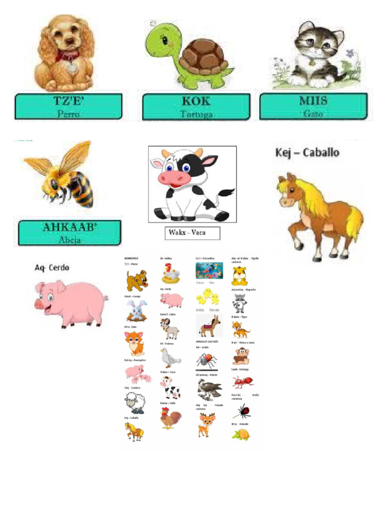 Animales en Poqoman | PDF