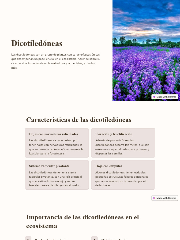 Dicotiledoneas | PDF | Hoja | Semilla