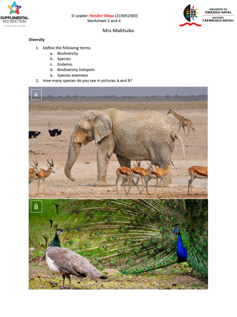 BIOL102 SI Worksheet 3 and 4 | PDF | Species | Evolution
