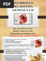 2.7. Exploración Testicular. 2.8. Escroto. 2.9. Técnicas y Maniobras de ...