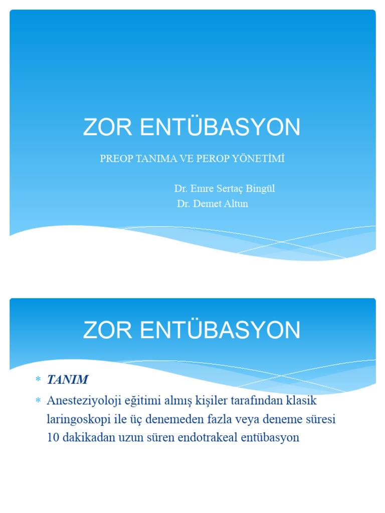 Zor Entu Basyon | PDF