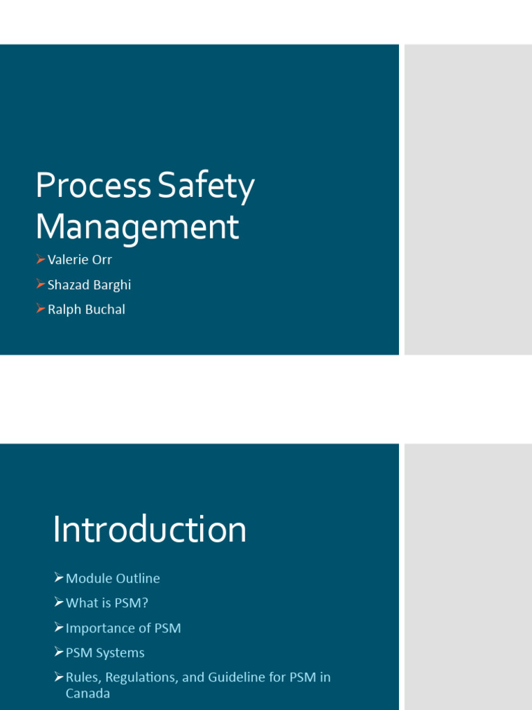 14 Pee Process - Safety 8s r13 | PDF | Risk | Hazards
