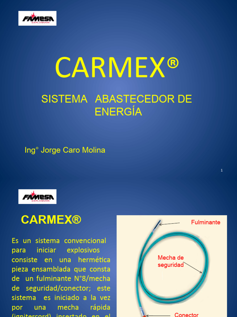 CARMEX | PDF