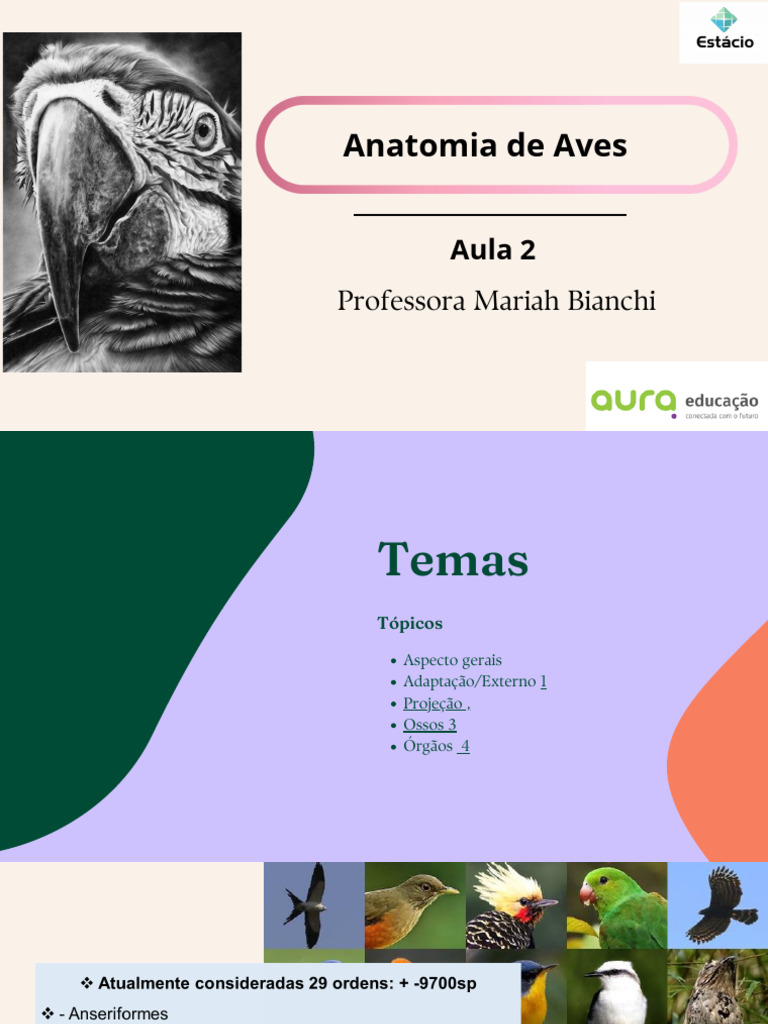 Anatomia e Fisiologia das Aves | PDF | Anatomia | Veia