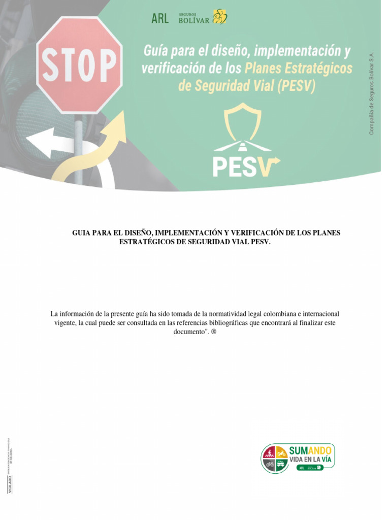Guia Pesv | PDF | Outsourcing | Riesgo