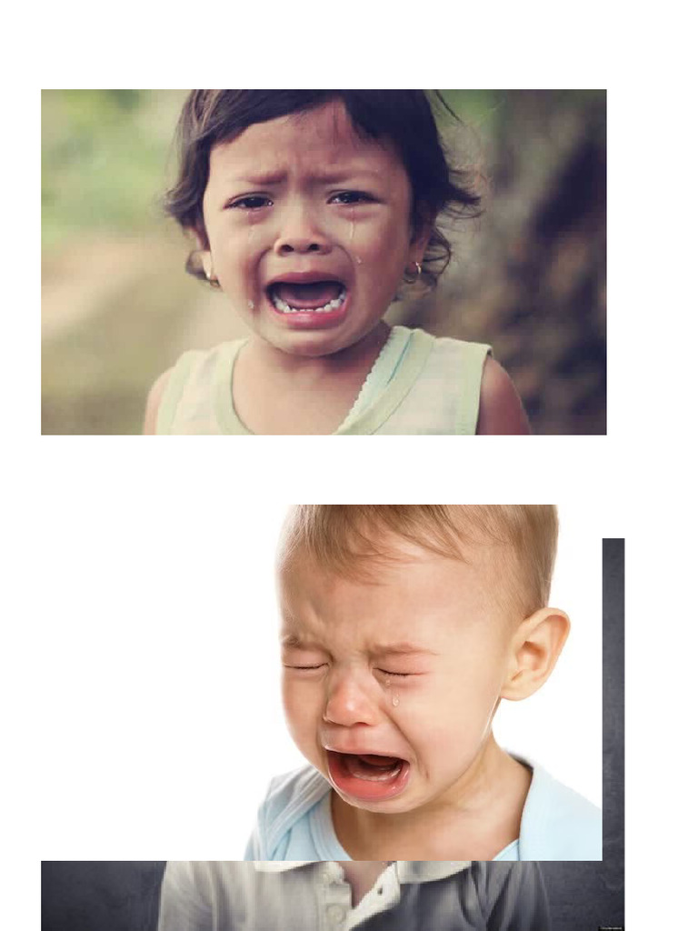 emociones basicas | PDF