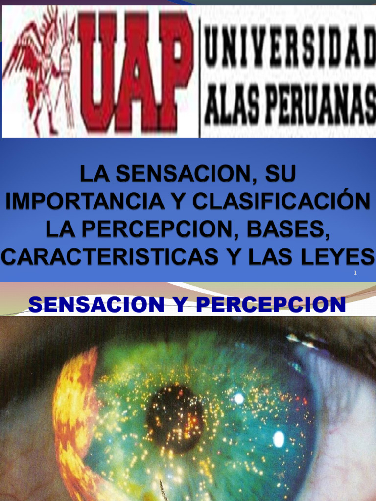 Sensacion y Percepcion | PDF | Percepción | Sentidos