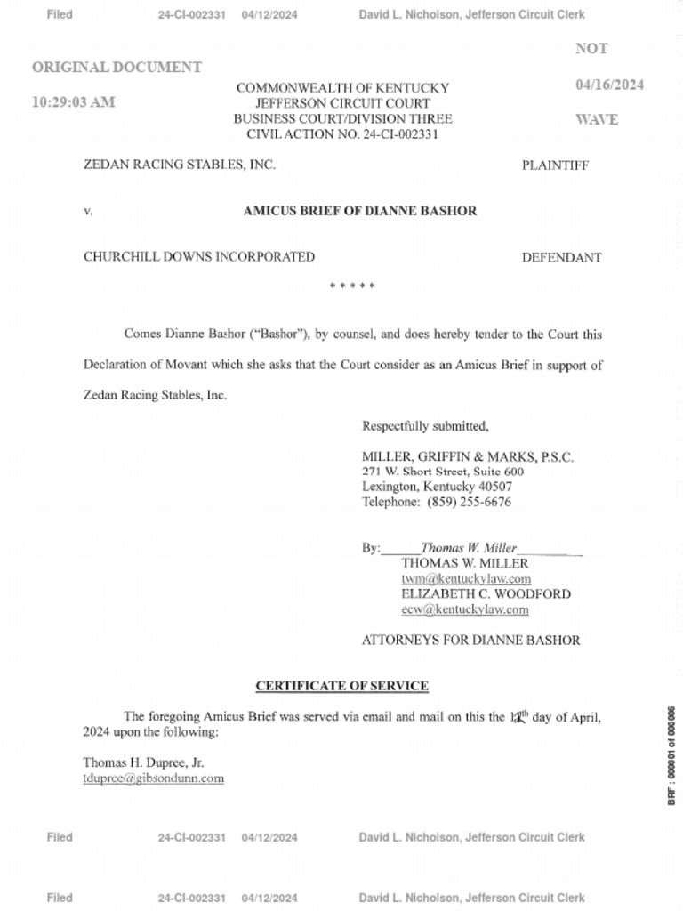 Dianne Bashor Amicus Brief | PDF Dianne Bashor Amicus Brief | PDF