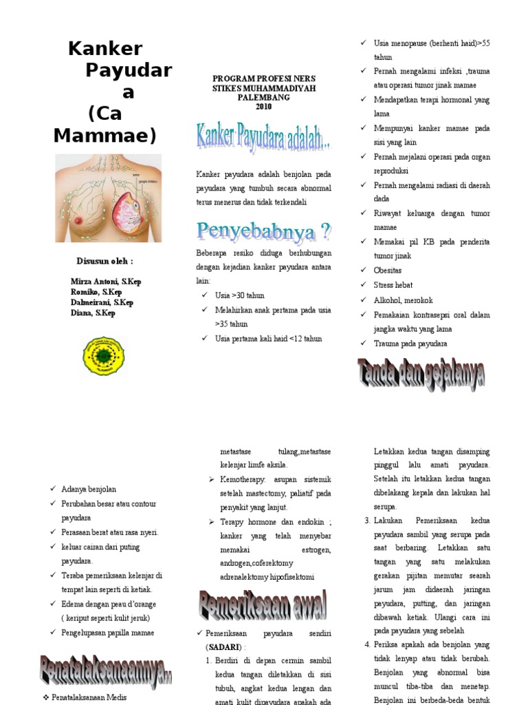Leaflet CA Mamae | PDF