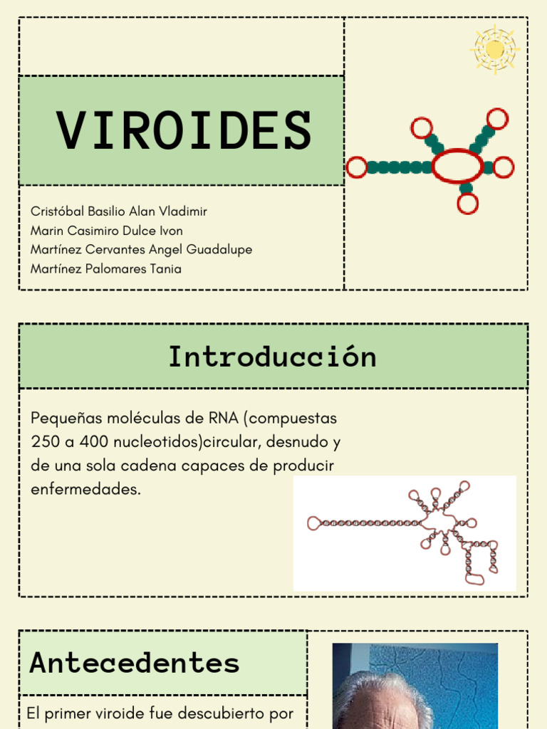 VIROIDES | PDF | Rna | Messenger Rna