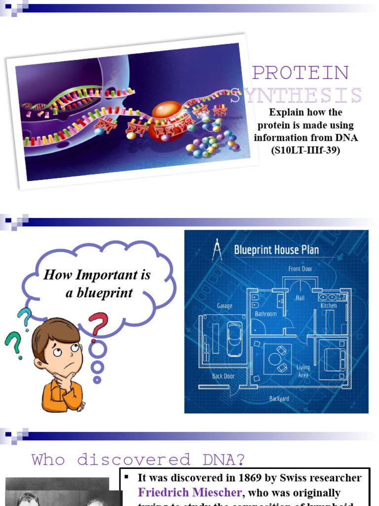 01 Protein Synthesis - Student | PDF | Rna | Translation (Biology)