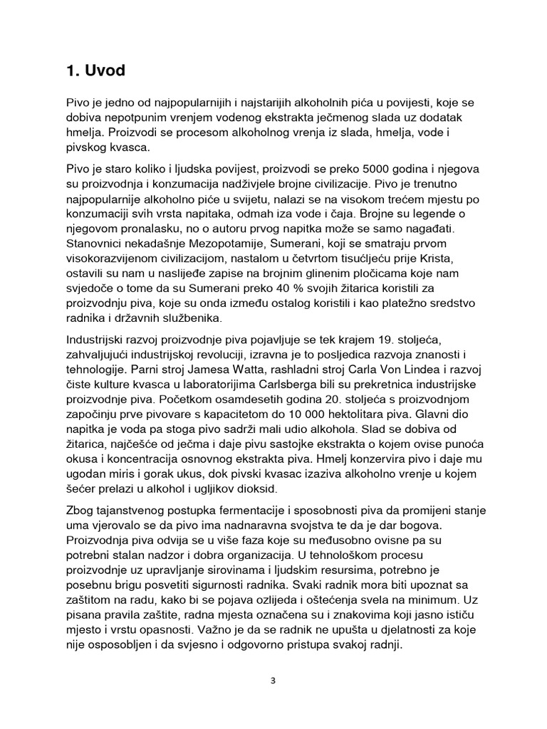 Kadic Nejra - Maturski (2) | PDF