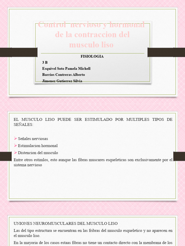 Control nervioso y hormonal del músculo liso ppt | PDF | Músculo ...