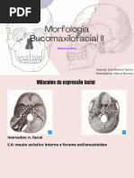 Anatomia da Tuberosidade Massetérica | PDF | Tecido macio | Sistema ...