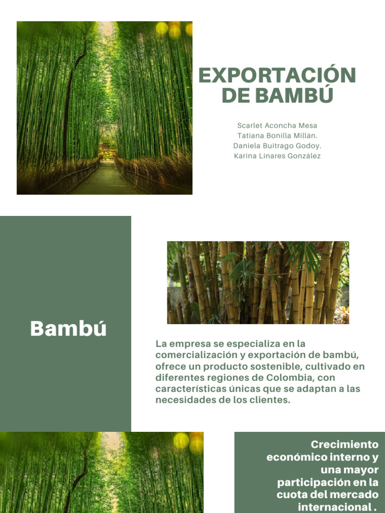 Exportación de Bambú: Scarlet Aconcha Mesa Tatiana Bonilla Millán ...