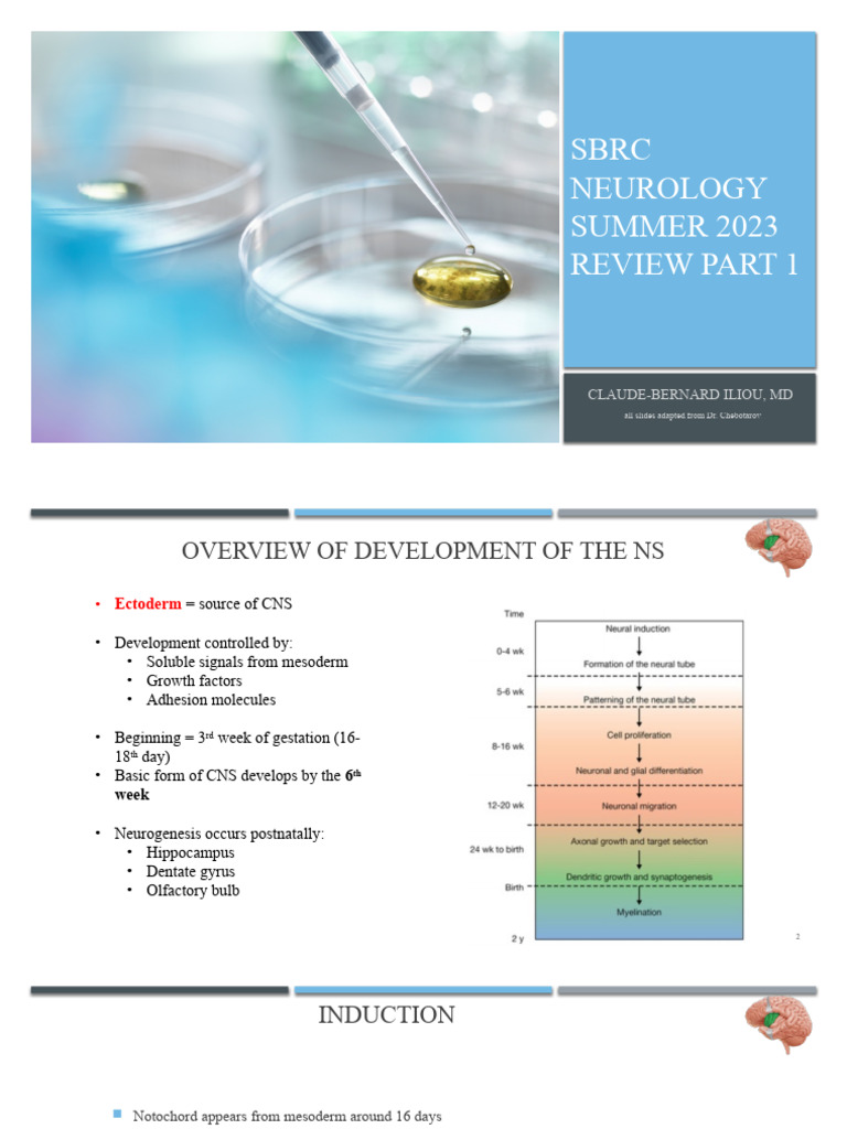 Neurology Development Overview 2023 | PDF | Brain Tumor | Cerebrospinal ...