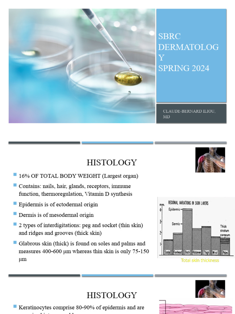 SBRC Dermatology | PDF | Epidermis | Melanoma