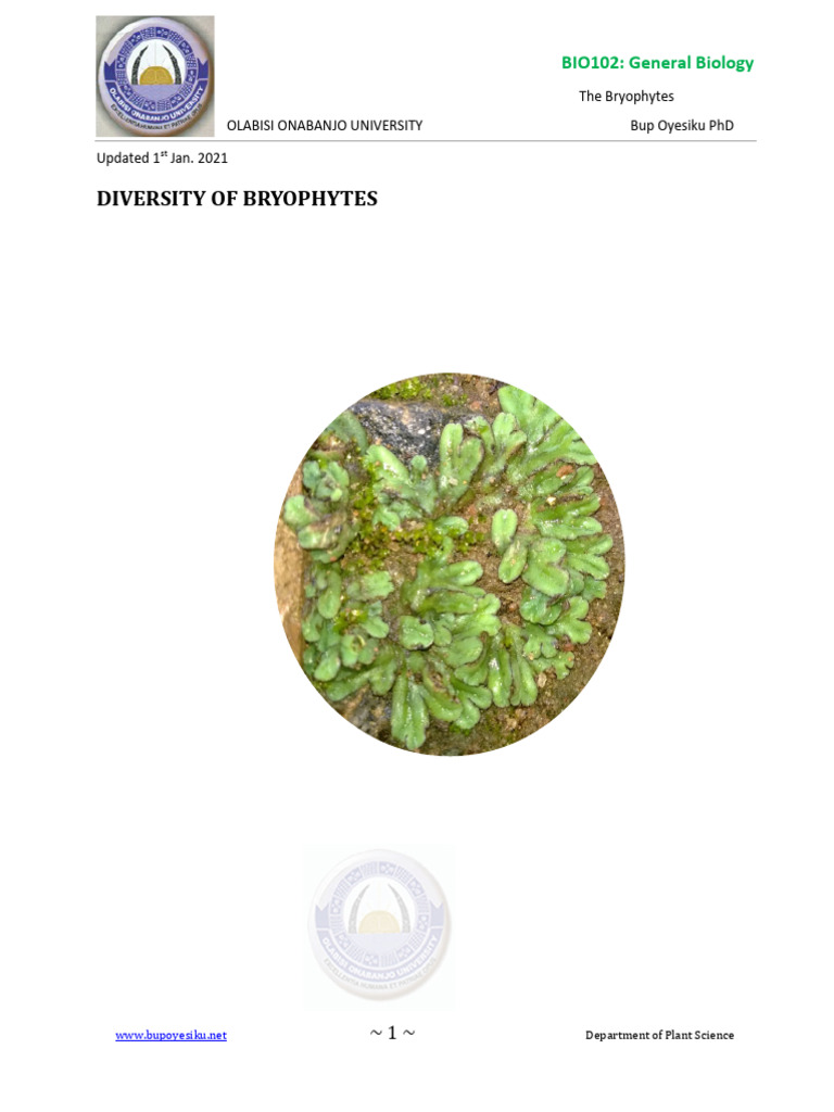 BRYOPHYTES | Download Free PDF | Moss | Plants