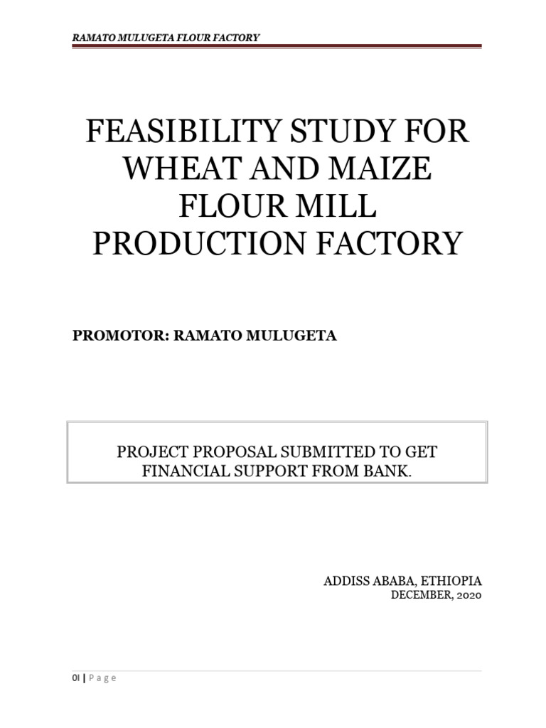 Kedir Tume Feasibility Study Final | PDF | Wheat | Pasta