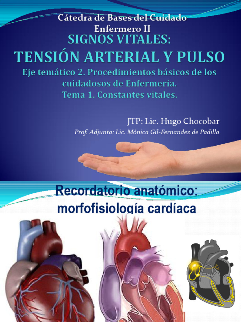 SIGNOS VITALES pulso ta tensión arterial 2021 | PDF | Ventrículo ...