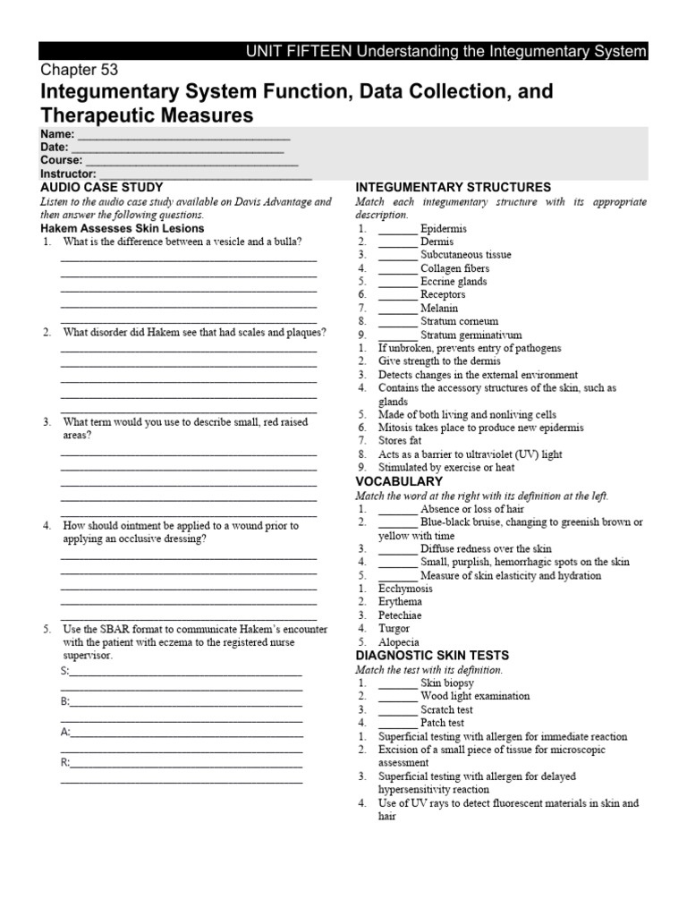 Integumentary System Assessment Guide | PDF | Integumentary System | Burn