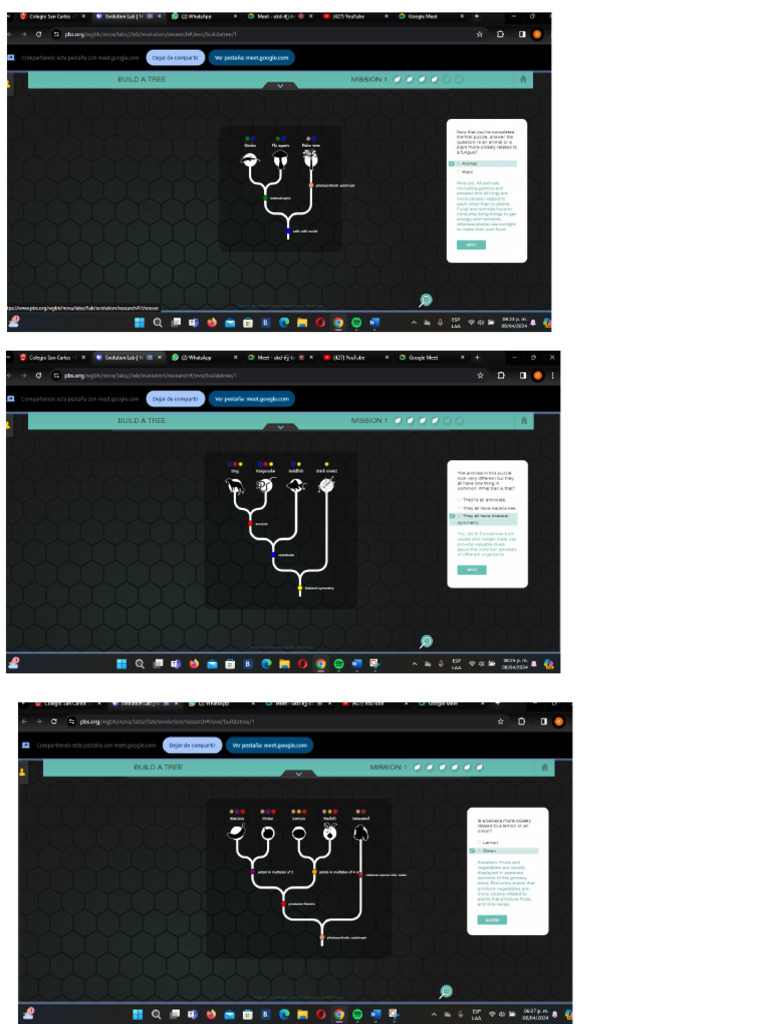 Lab Evolution Training Trees Mission 1 David Diaz 10C | PDF
