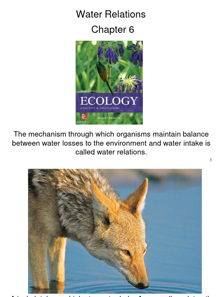 Chapt06 Lecture | PDF | Osmosis | Water