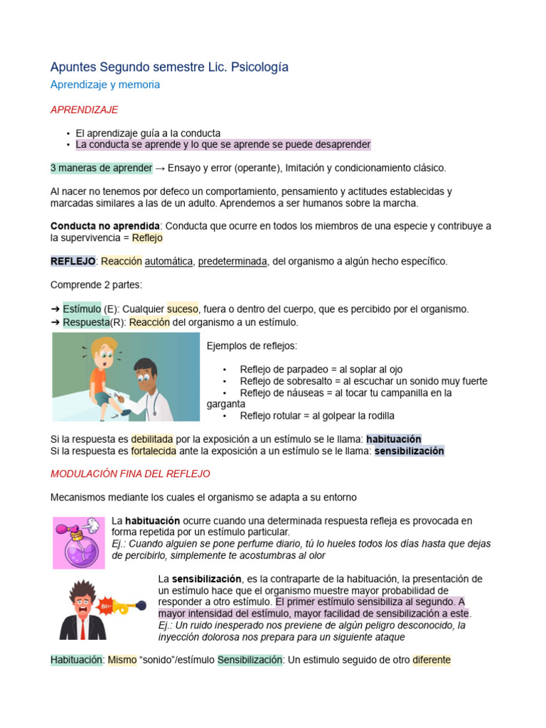 Aprendizaje Y Memoria Pdf Pdf Atención Reforzamiento