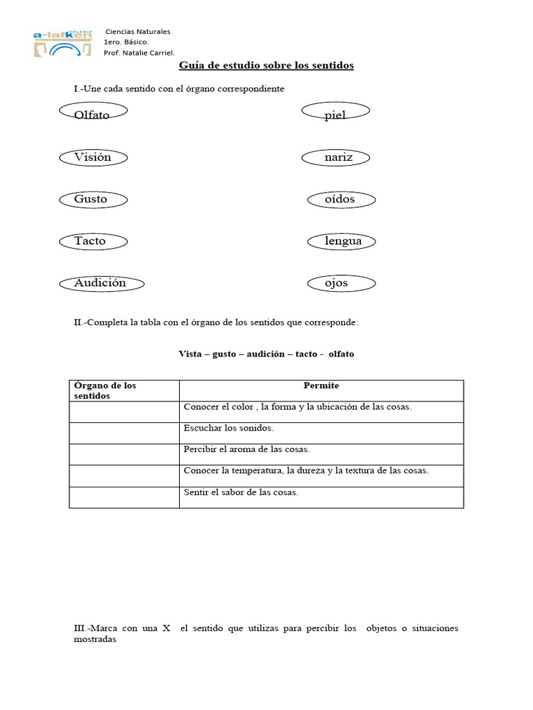 Guía de Estudio sobre los Sentidos | PDF | Sentidos | Gusto