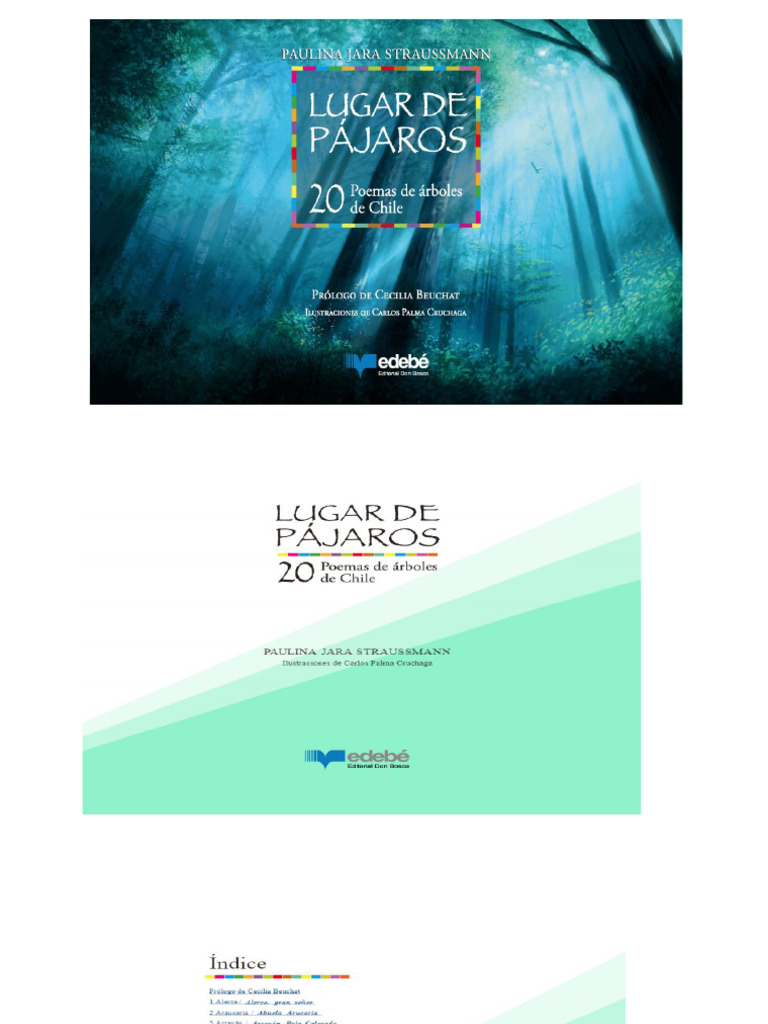 Lugares de Pajaros | PDF